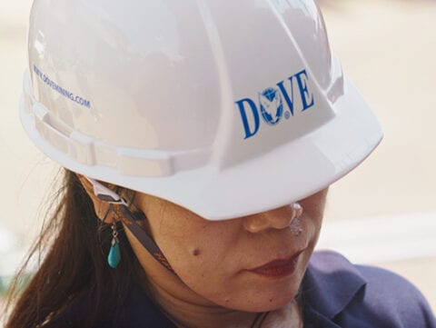 DOVE Equipment And Machinery | About Us | DOVE